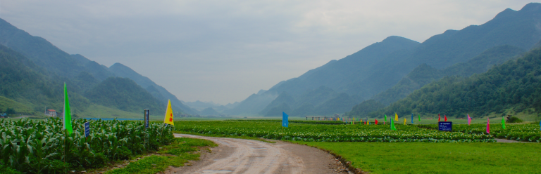 Rural Development in China – Awarded contract – Prospect C&S s.a.